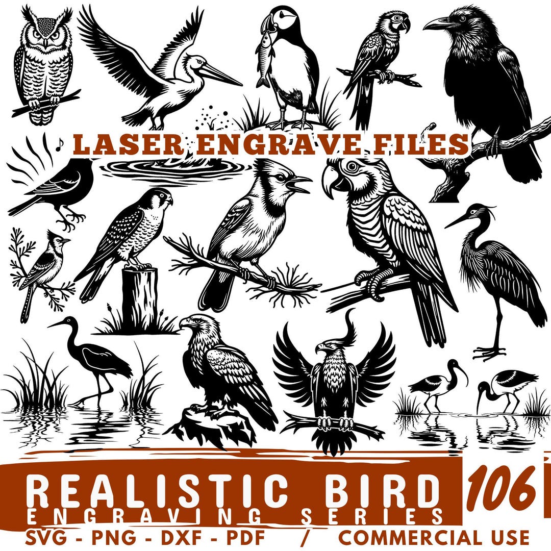 Realistic Bird Engraving Files, Laser Cut Svg Png Bundle - Etsy