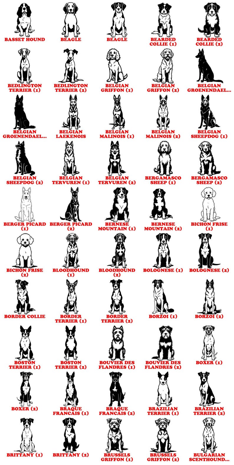 Dog Breeds Sitting Pose SVG Bundle, Cricut Ready (digital Download ...