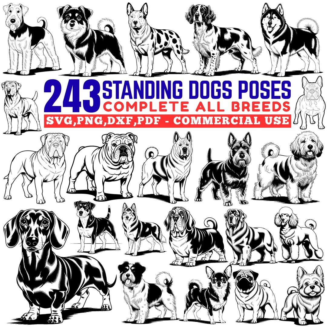 Standing Dogs Poses Complete All Breeds Svg Png Pdf & Dxf Bundle ...