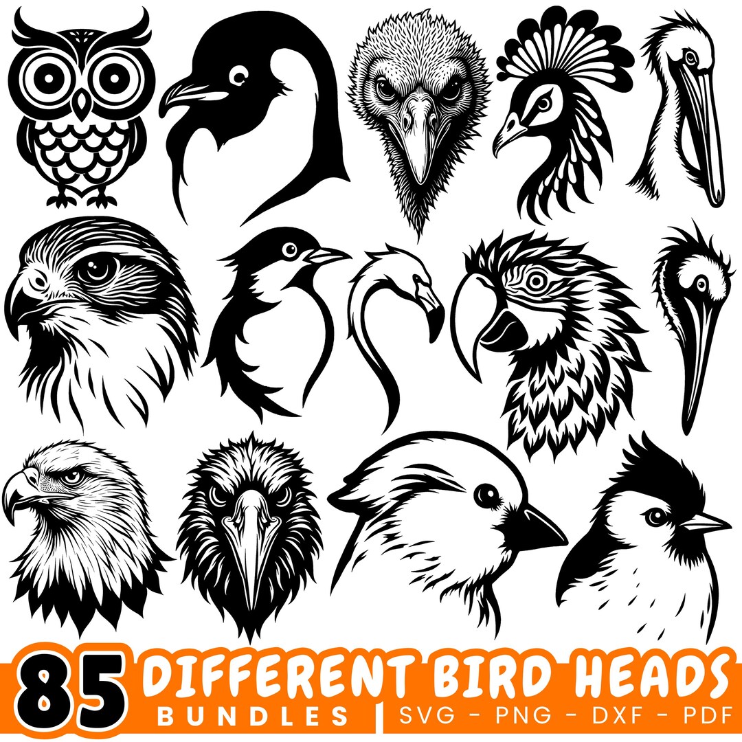 Different Bird Head Svg Png Pdf Files Bundle Cricut Cut Files Instant ...
