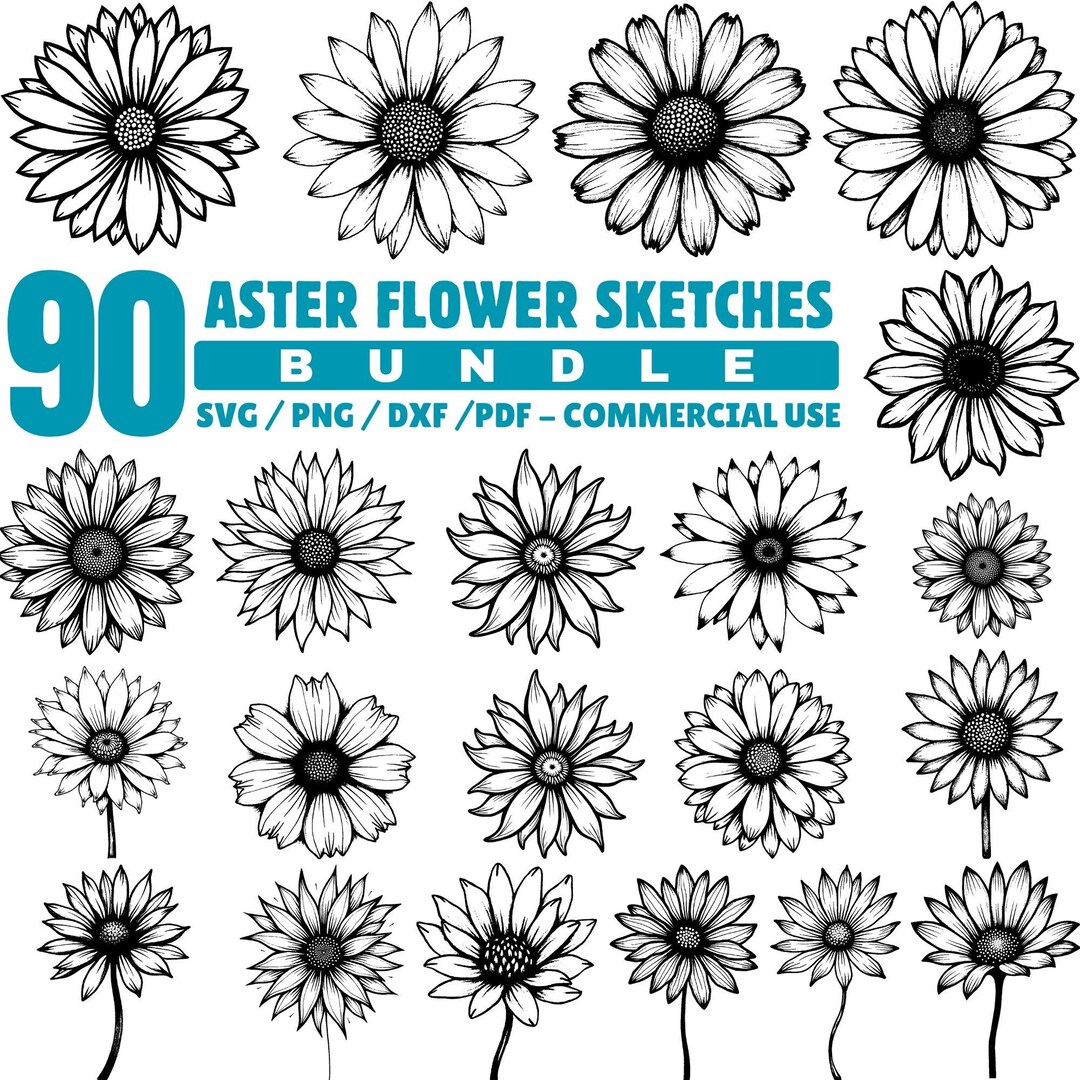 Aster Flower Sketches Svg Png Pdf & Dxf Bundle for Cricut Floral ...