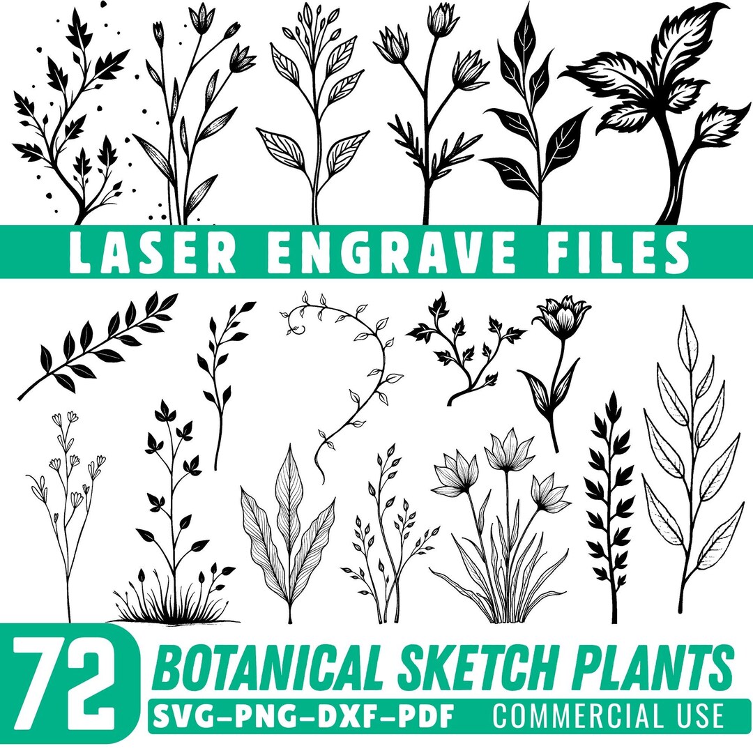 Laser Engrave Files Botanical Sketch Plants Svg Png Pdf & Dxf Bundle ...