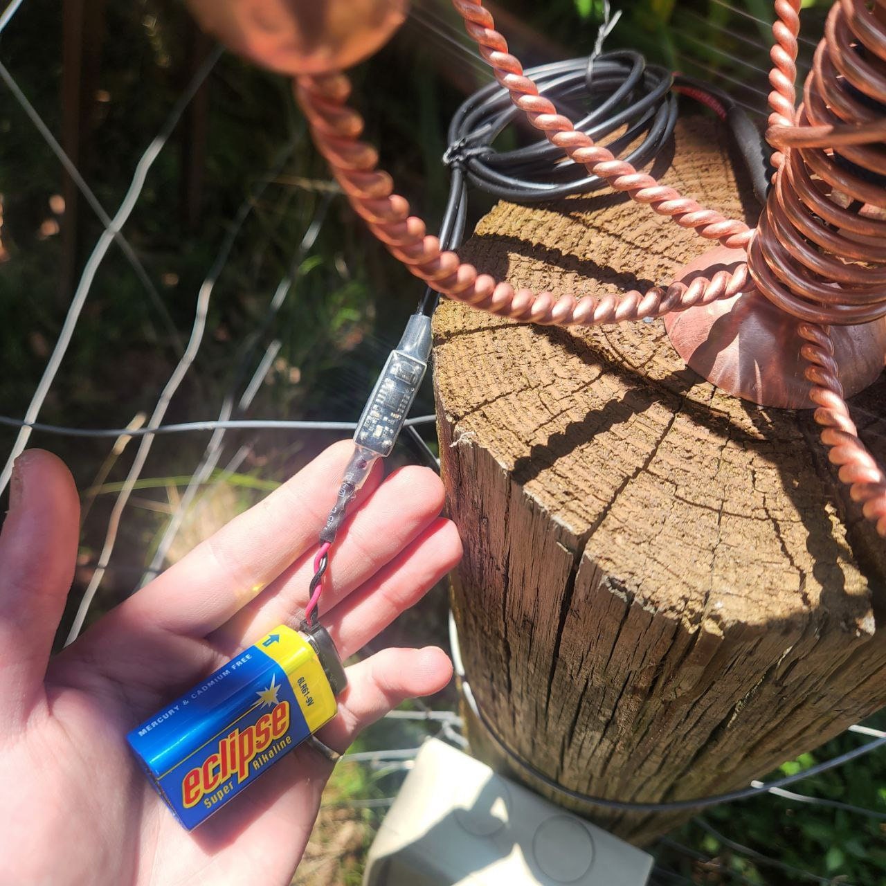 Lost Cubit Harmonizer Full Size With Succor Punch 177mhz Emotional ...