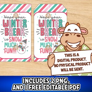 Hope Your Winter Break is Snow Much Fun Printable Tag, Winter Break Tag ...