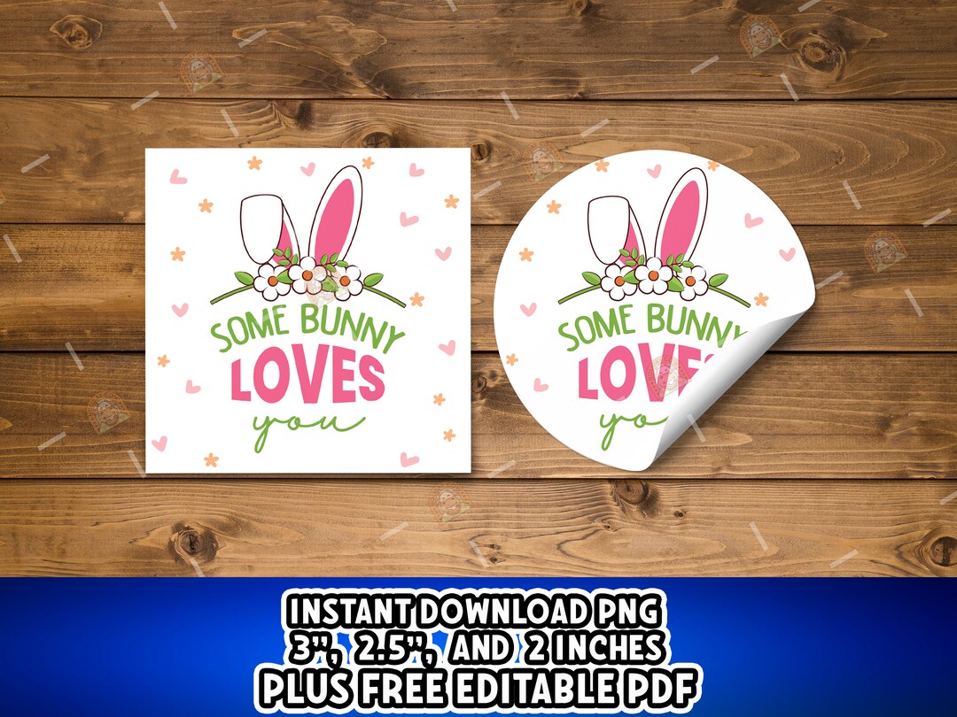 Bunny Easter Tags Printable, Some Bunny Loves You, Bunny Cookie Tag ...