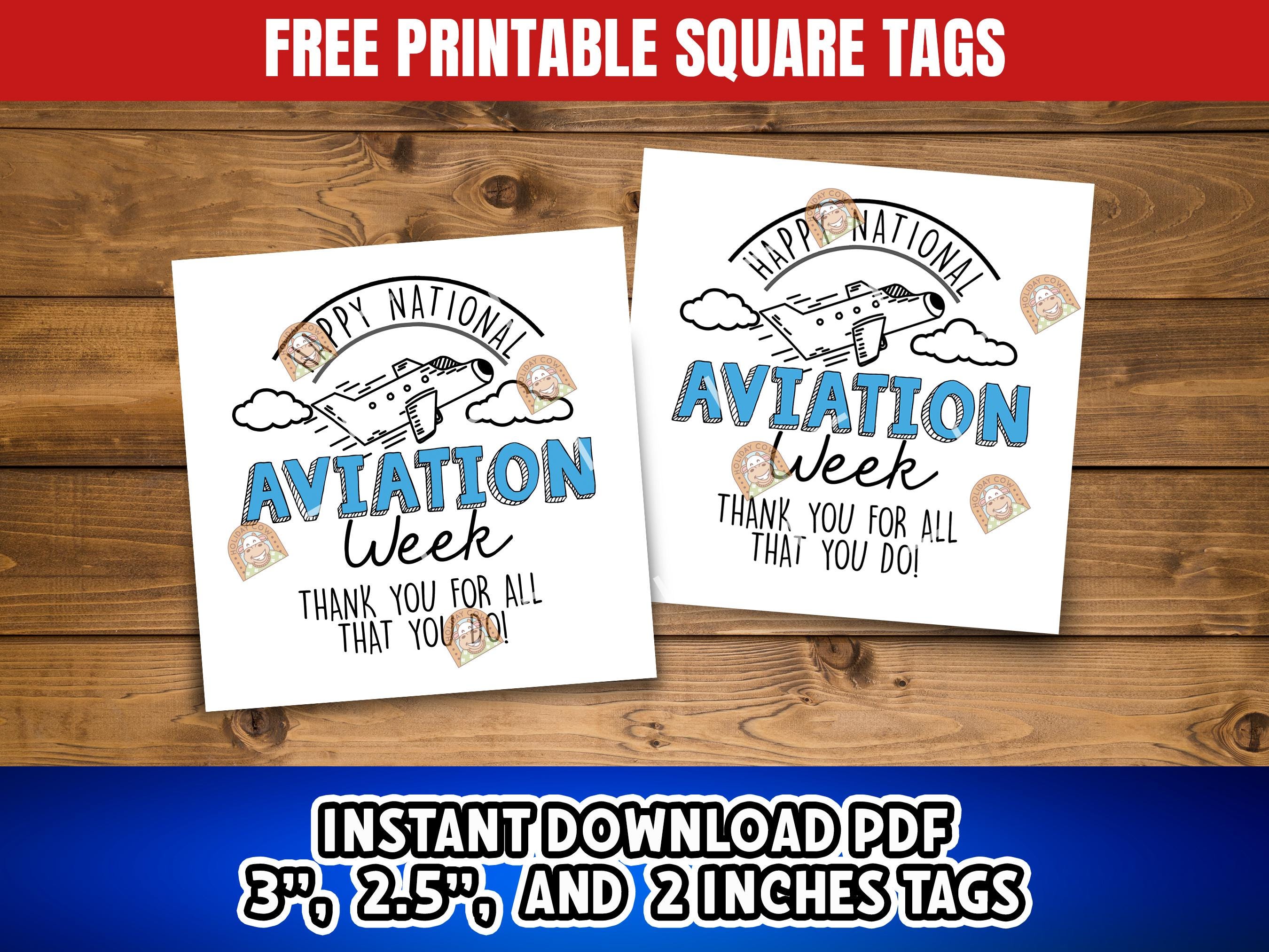National Aviation Week Signs Printable, Aviation Professional Gift ...