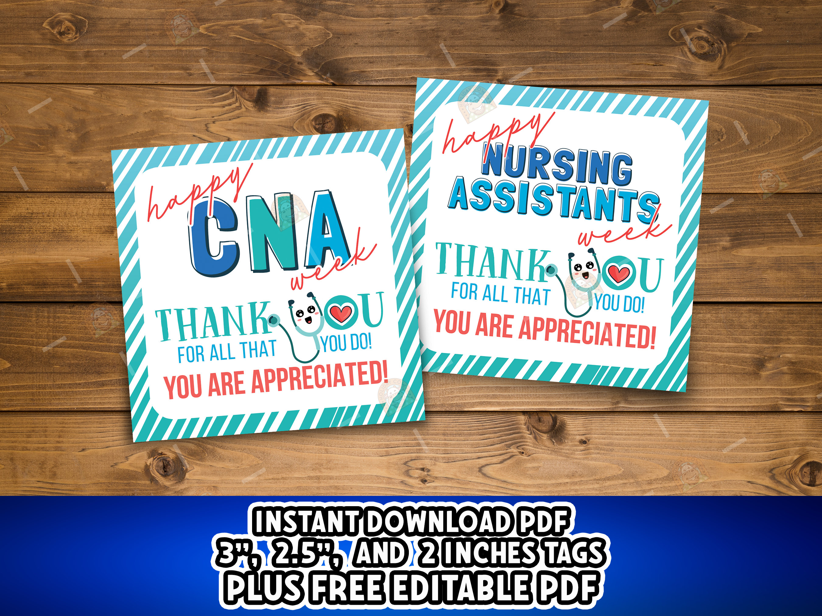 CNA Week Tags Printable, Certified Nursing Assistant Week Tag, Cna Thank You Tags, Cna ...