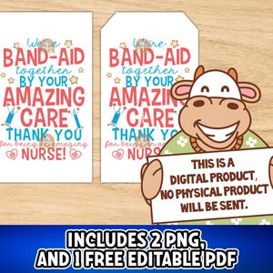 Printable Nurse Gift Tag, Nurse Appreciation, School Nurse Day Tag for ...