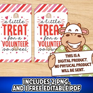 Valentine Volunteer Gift Tag Printable, Thank You Volunteer Valentine ...