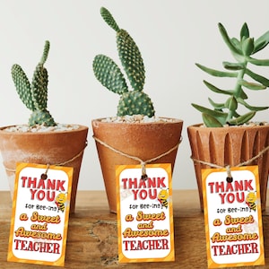 Printable Teacher Appreciation Gift Tag, Thank You for Bee-ing Teacher ...