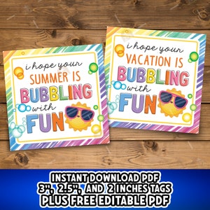 End of School Year Tags for Bubbles Printable, Summer Vacation Tag for ...
