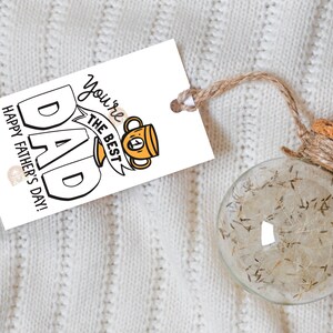Fathers Day Tags Set, Funny Fathers Day Gift Tags Printable, Happy ...
