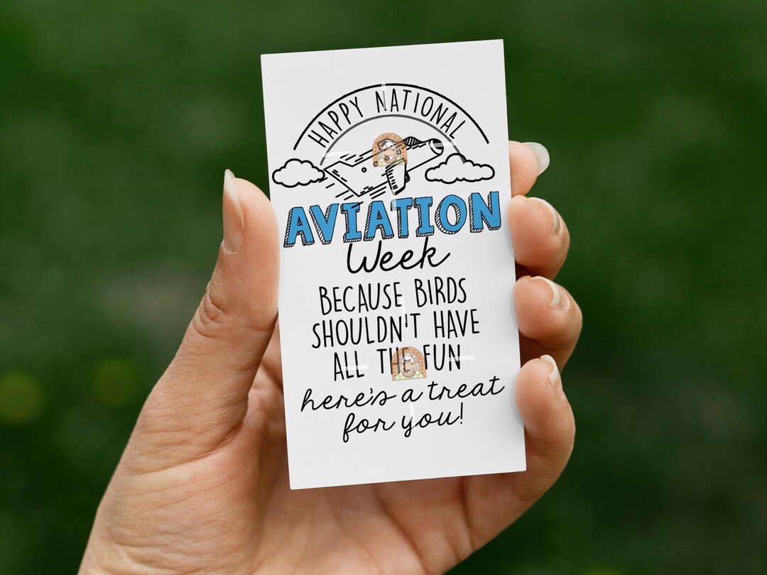 National Aviation Week Gift Tags Printable, Plane Fun Aviation Tags ...
