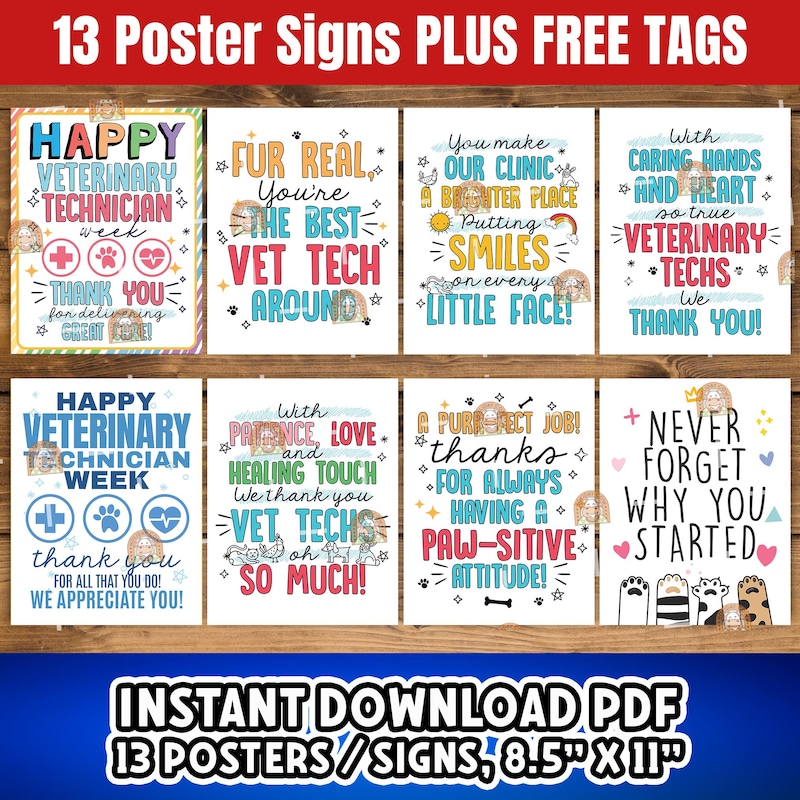 Life in Weeks Poster - Etsy