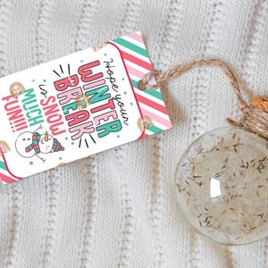 Hope Your Winter Break is Snow Much Fun Printable Tag, Winter Break Tag ...