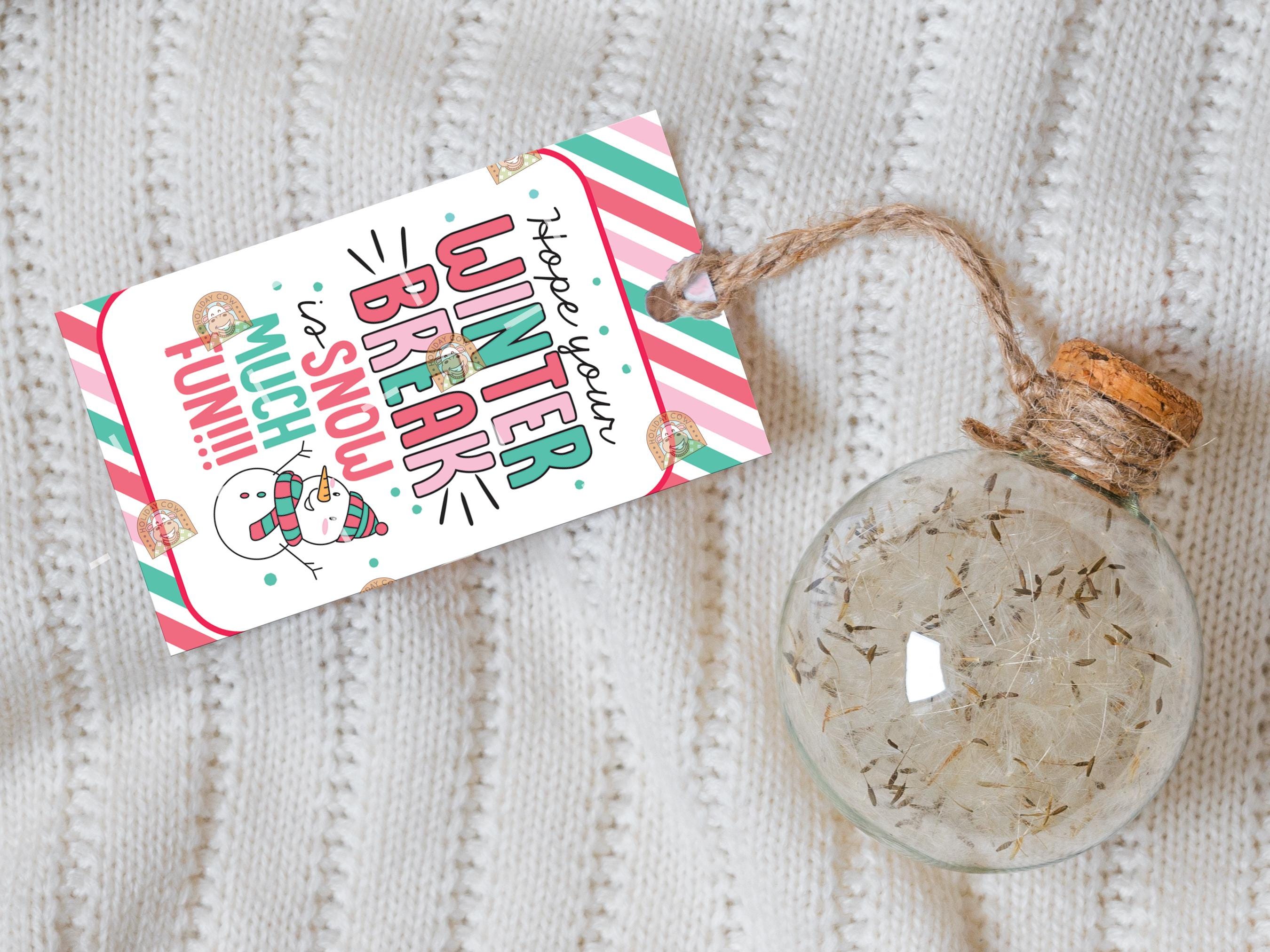 Hope Your Winter Break is Snow Much Fun Printable Tag, Winter Break Tag ...