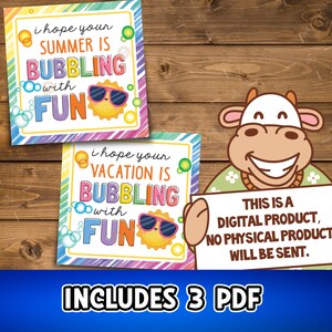 End of School Year Tags for Bubbles Printable, Summer Vacation Tag for ...