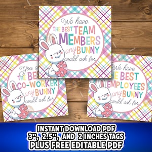 Team Members Easter Tag, Printable Best Employee Any Bunny Could Ask ...