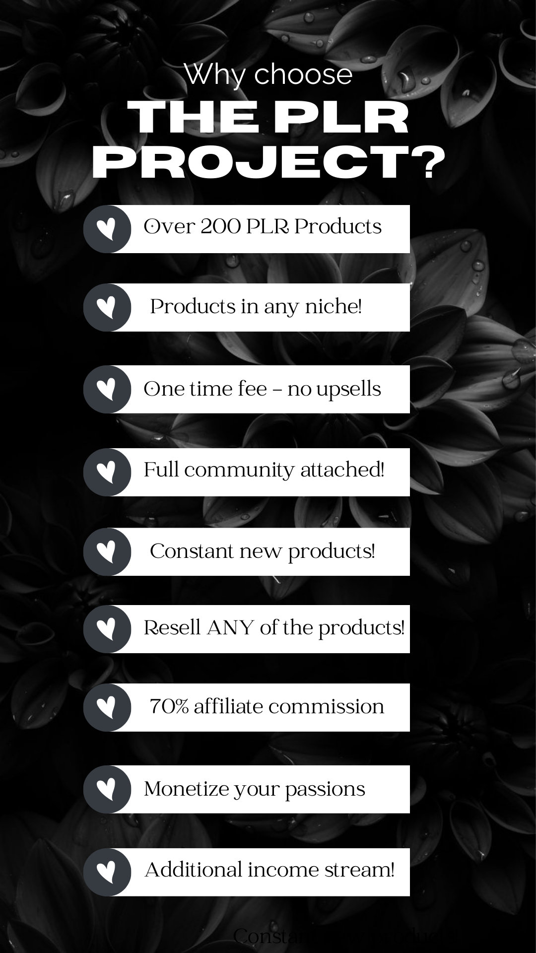 The PLR Project Hub for PLR Products Digital Marketing Done for You ...