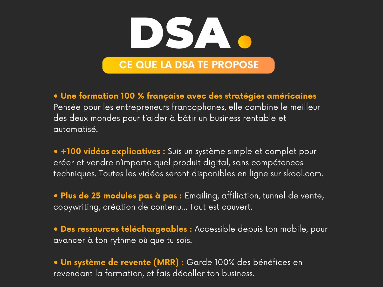The Digital Success Academy Course DSA 12 PLR Inclus, Cours De ...