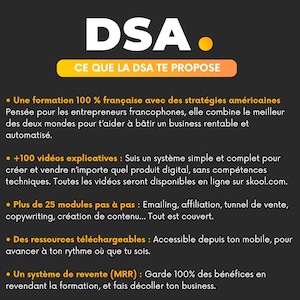 The Digital Success Academy Course DSA 12 PLR Inclus, Cours De ...