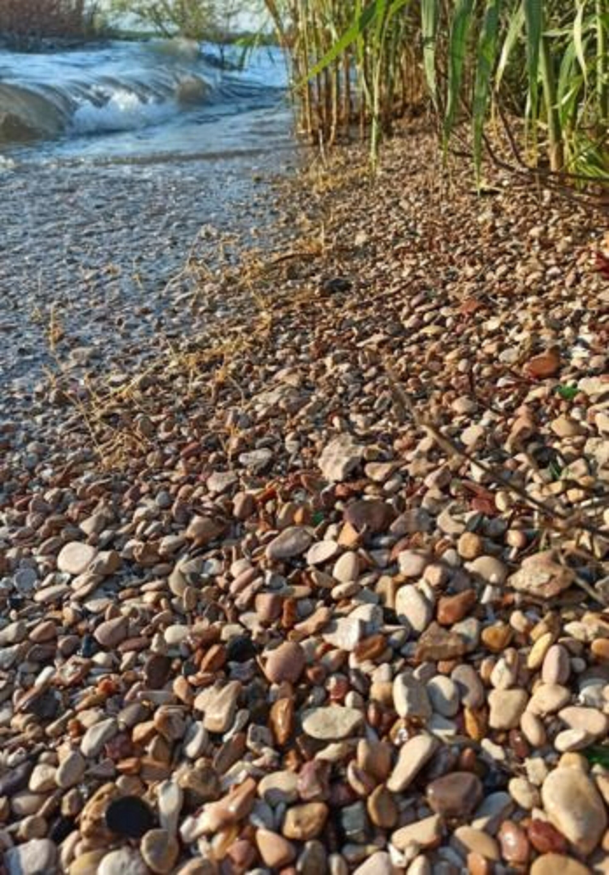 Stones From Tiberius the Sea of Galilee 85 Gram Holy Land - Etsy