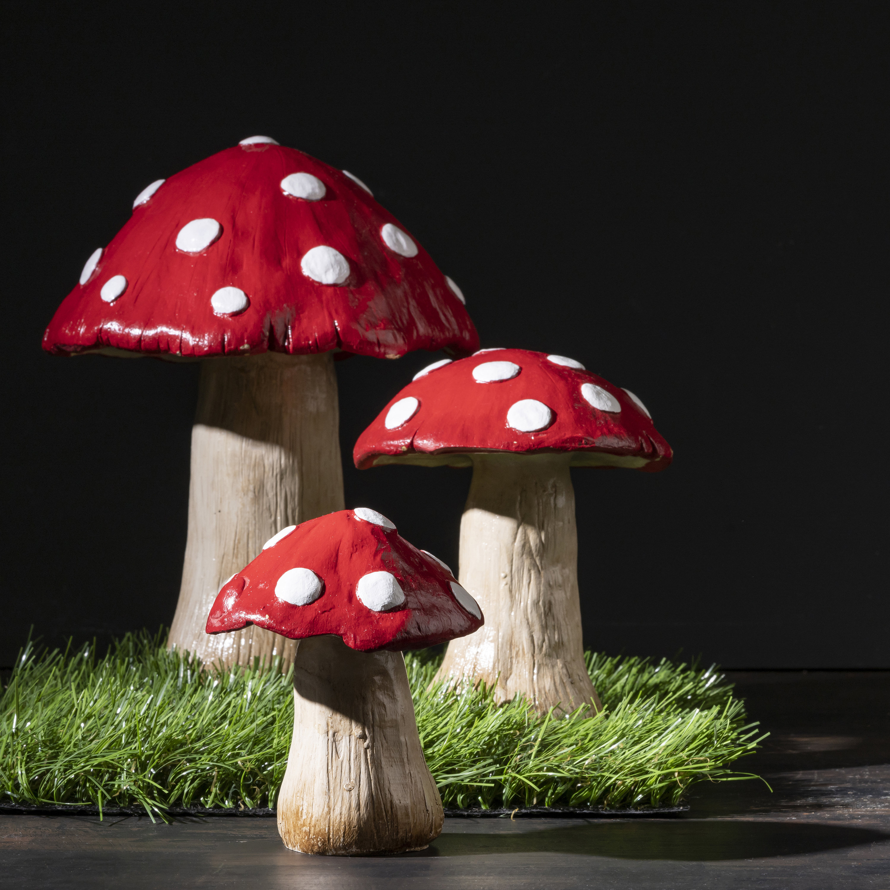 It is Perfect Gift for Mushroom Lovers to Decorate Their Home and ...