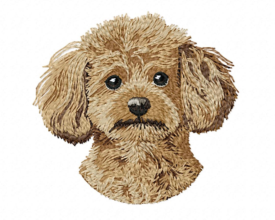 Realistic Toy Poodle Dog Breed Machine Embroidery Design - 5 Sizes ...