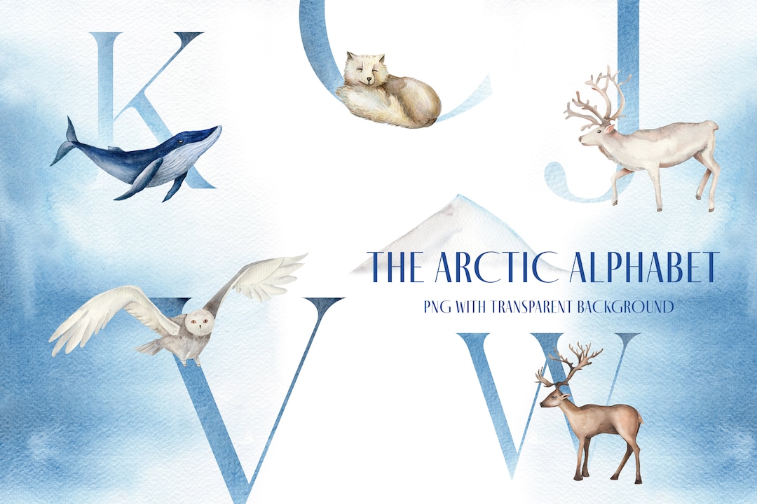 Nursery Arctic Alphabet Winter Cute Animals Watercolor Set - Etsy
