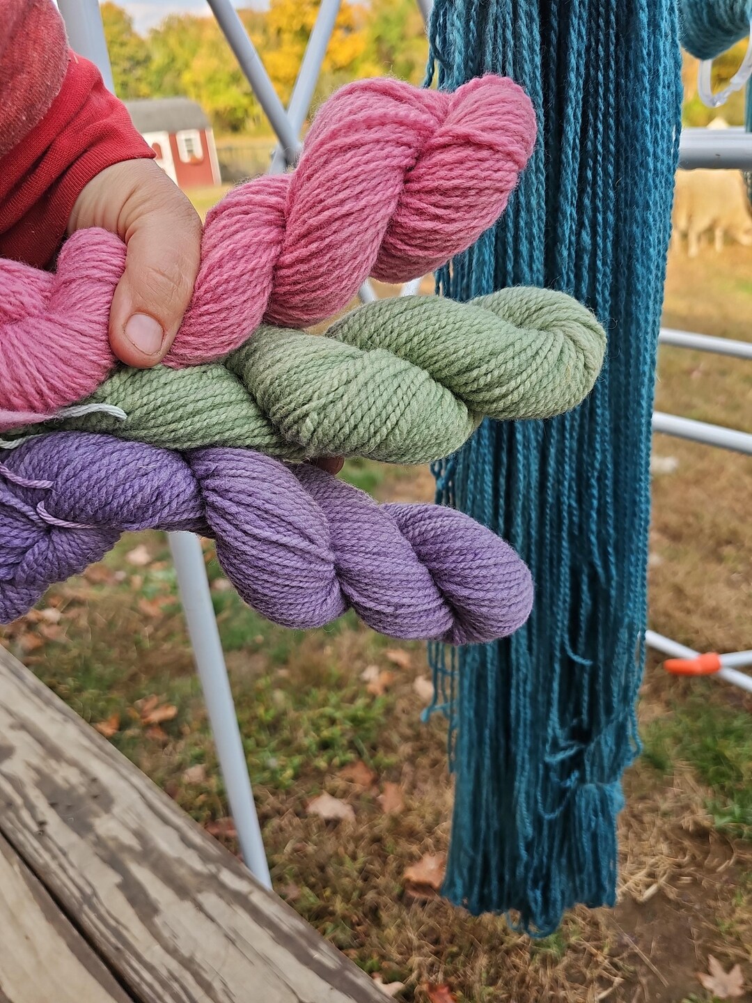 Botanically Dyed, Gulf Coast Native Yarn, Se2se Passport Item - Etsy