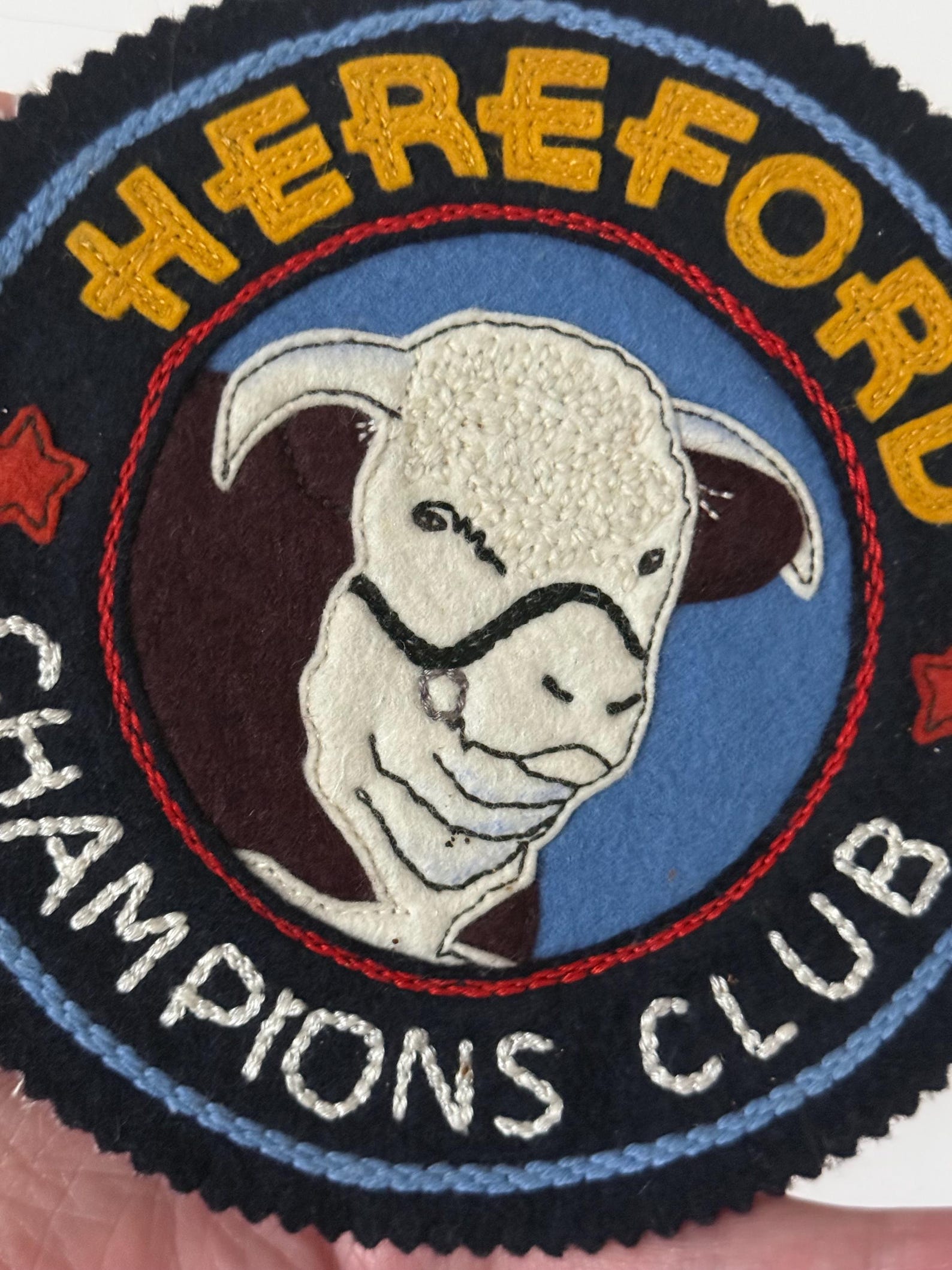Collection of Vintage Felt and Stitched Patches 60s 70s 80s Tuktoyaktuk ...