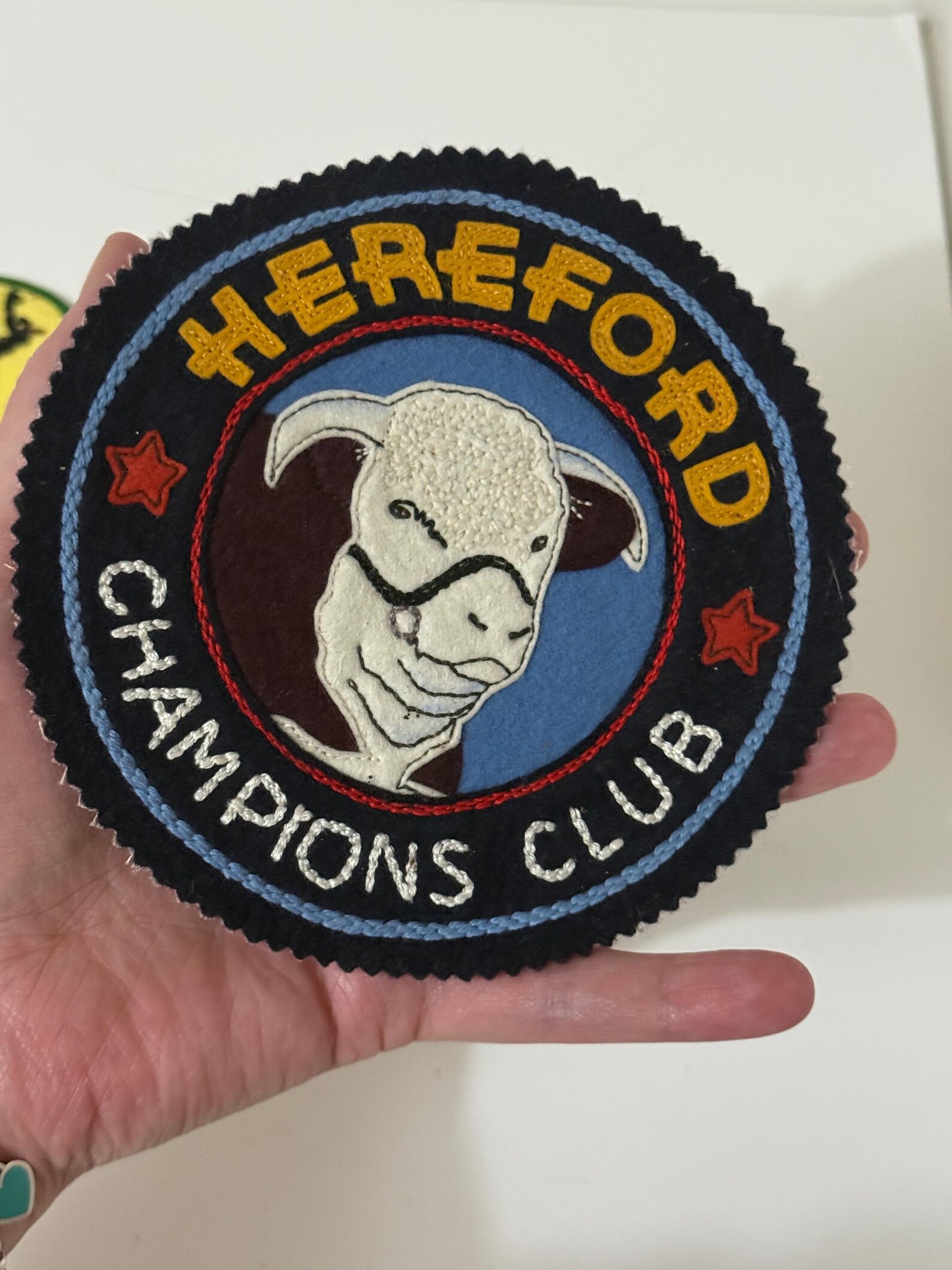Collection of Vintage Felt and Stitched Patches 60s 70s 80s Tuktoyaktuk ...