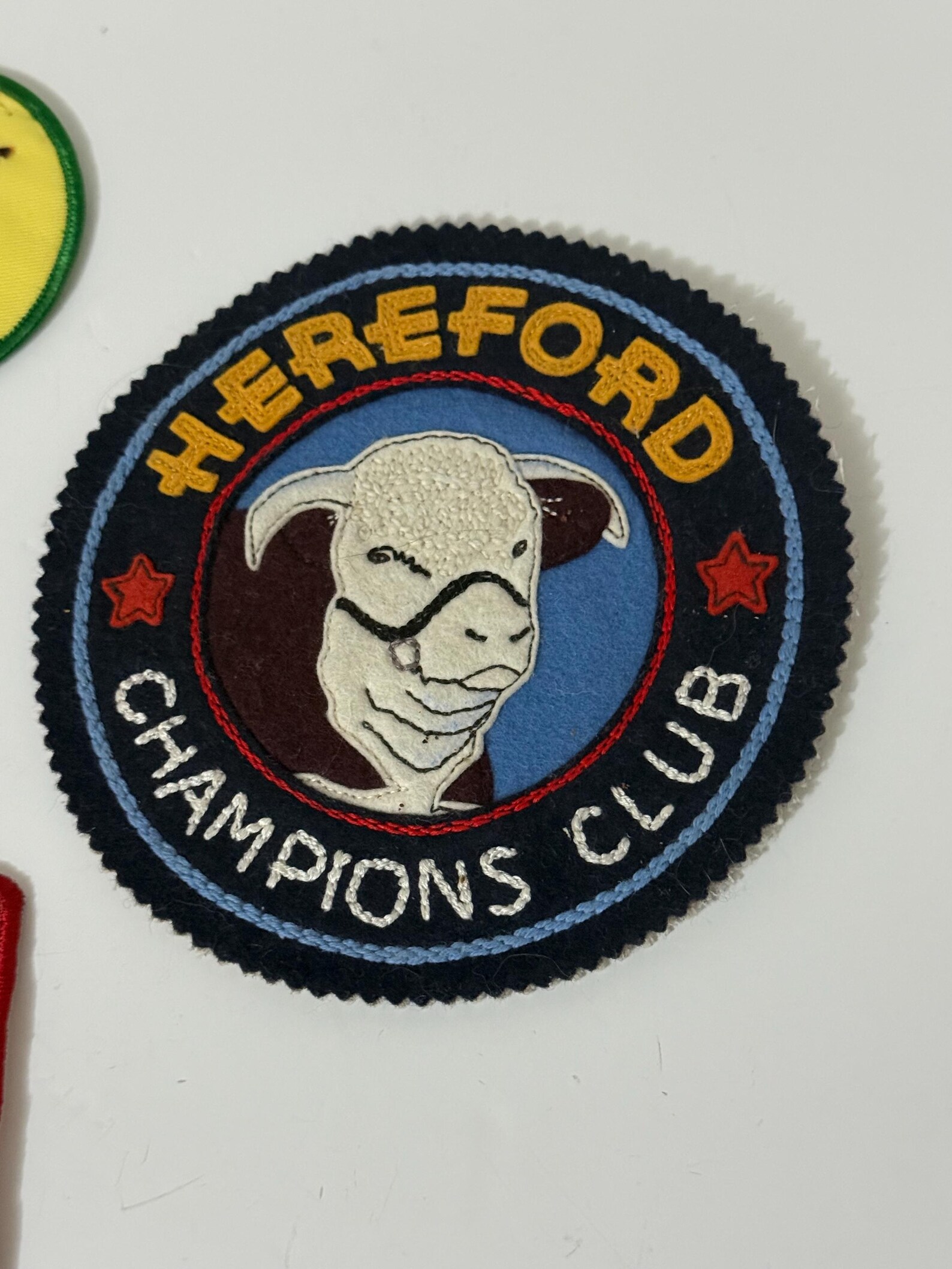 Collection of Vintage Felt and Stitched Patches 60s 70s 80s Tuktoyaktuk ...