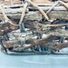 Rectangular Twig Basket With Side Handles - Etsy