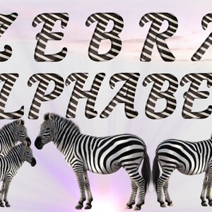 Zebra Print Alphabet: Black and White PNG Clipart (digital Download) - Etsy
