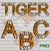 Tiger Print Alphabet & Numbers: PNG Clipart (digital Download) - Etsy