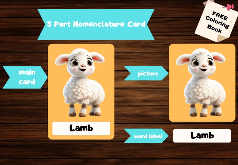 Animal Flashcards, Flashcards, Editable Montessori Cards, Educational ...
