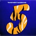Tiger Print Font: Animal Alphabet SVG, PNG, AI (digital Download) - Etsy