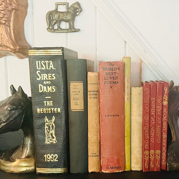 Equestrian Decor - Etsy