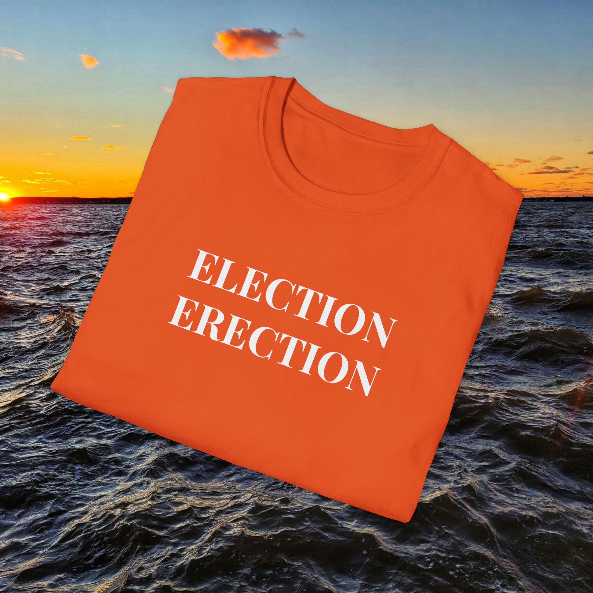 Election Erection T-shirt, Election Shirt, Politics Tee, Political Shirt, Funny Shirt - Etsy