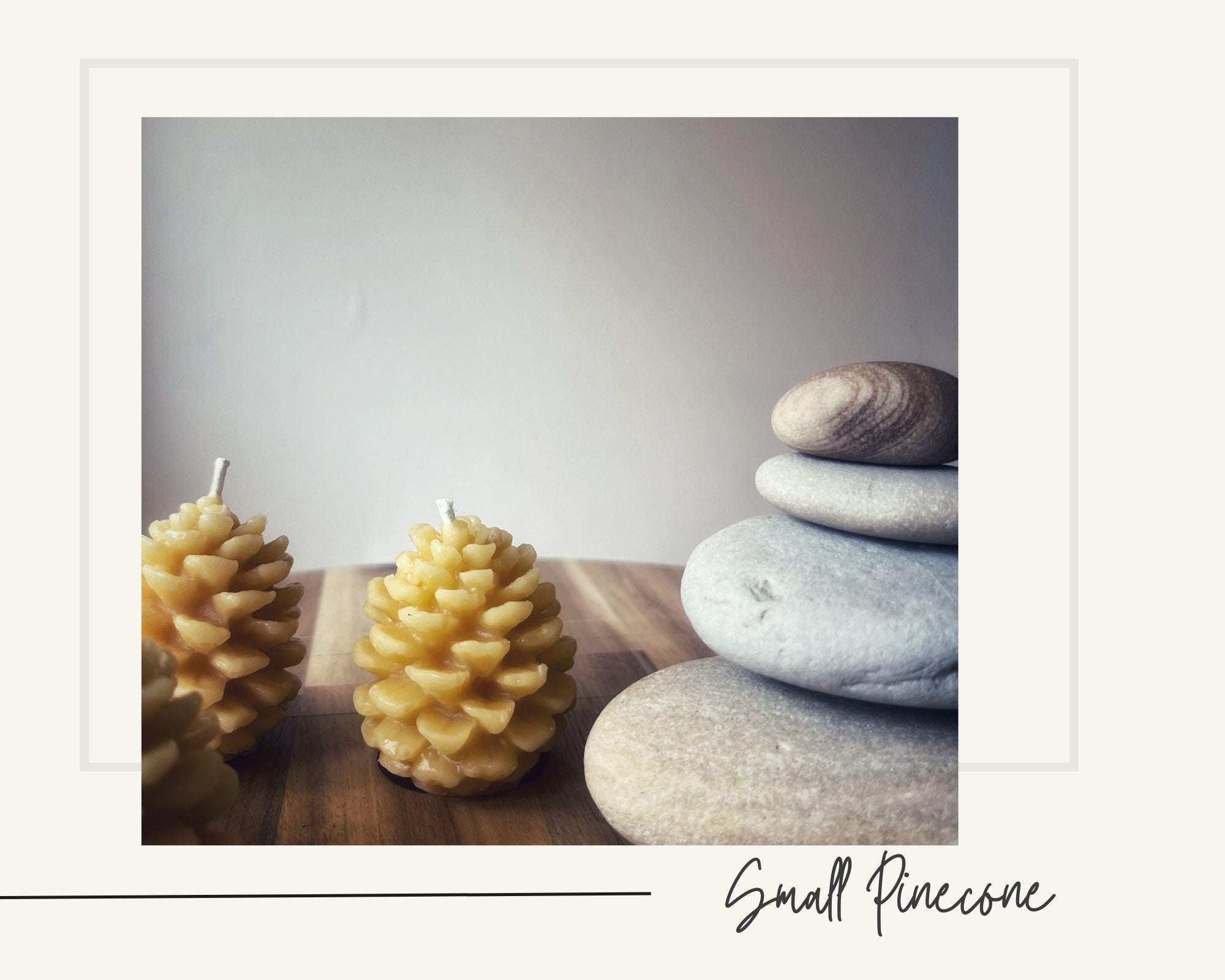 Pinecone, Small - Etsy