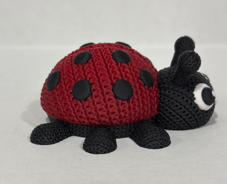 Adorable Ladybug- 3D Printed Knitted Texture - Custom Sizes and Colors ...