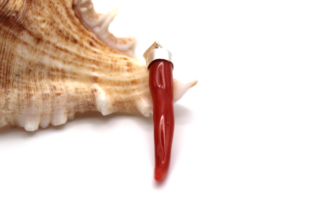 Italian Red Coral Horn, Coral, Red Coral, Horn Coral AAA Coral, Gift ...