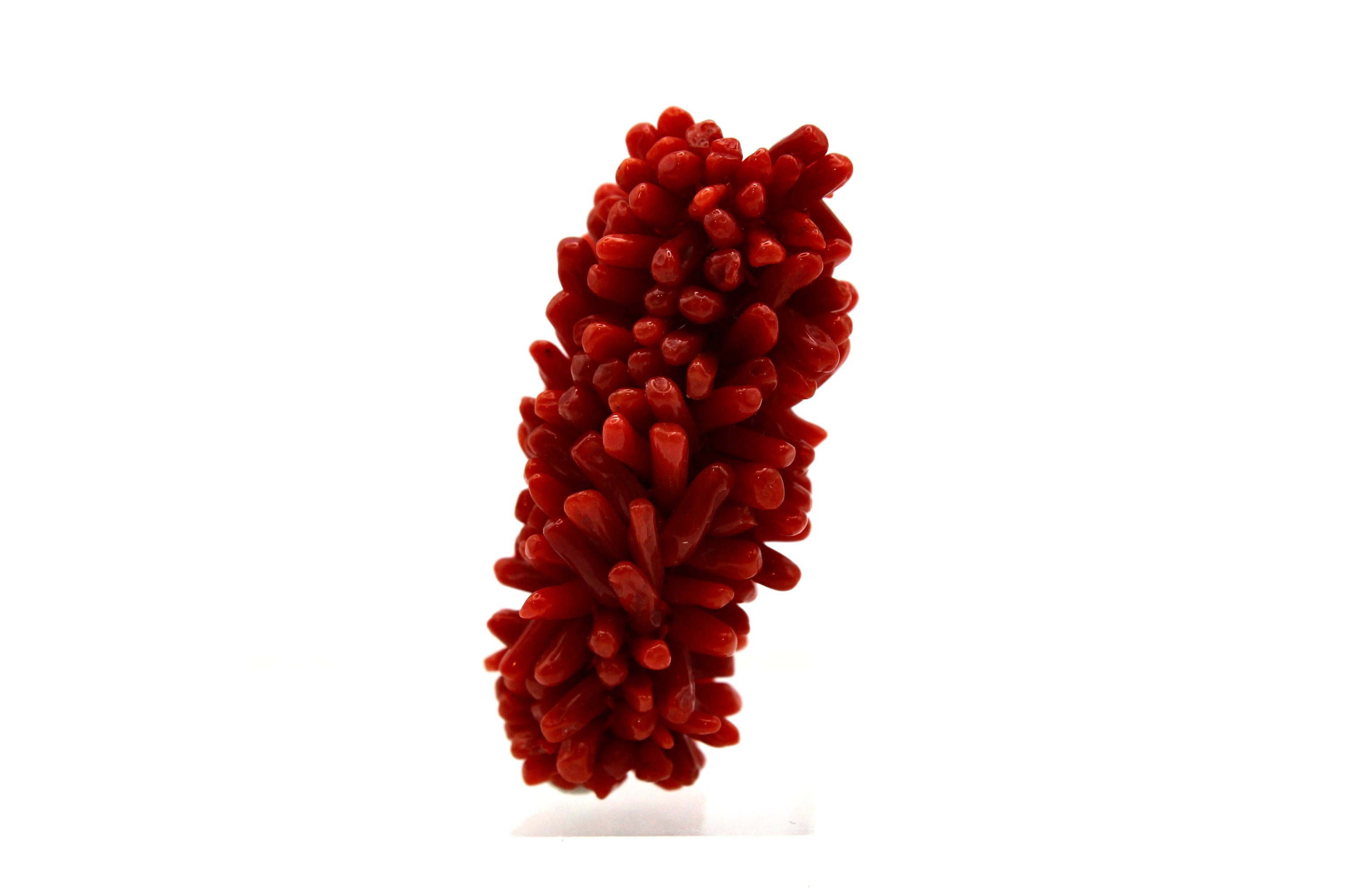 Italian Red Coral Coral Red Coral AAA Coral Gift Sea - Etsy