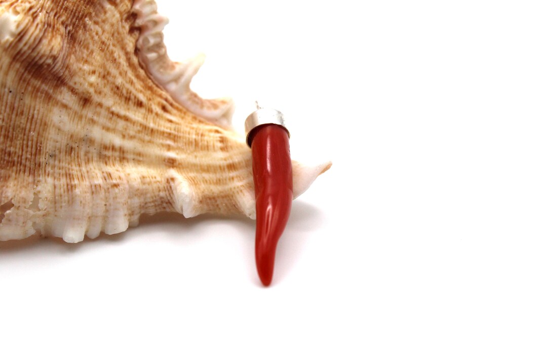 Italian Red Coral Horn, Coral, Red Coral, Horn Coral AAA* Coral, Gift ...