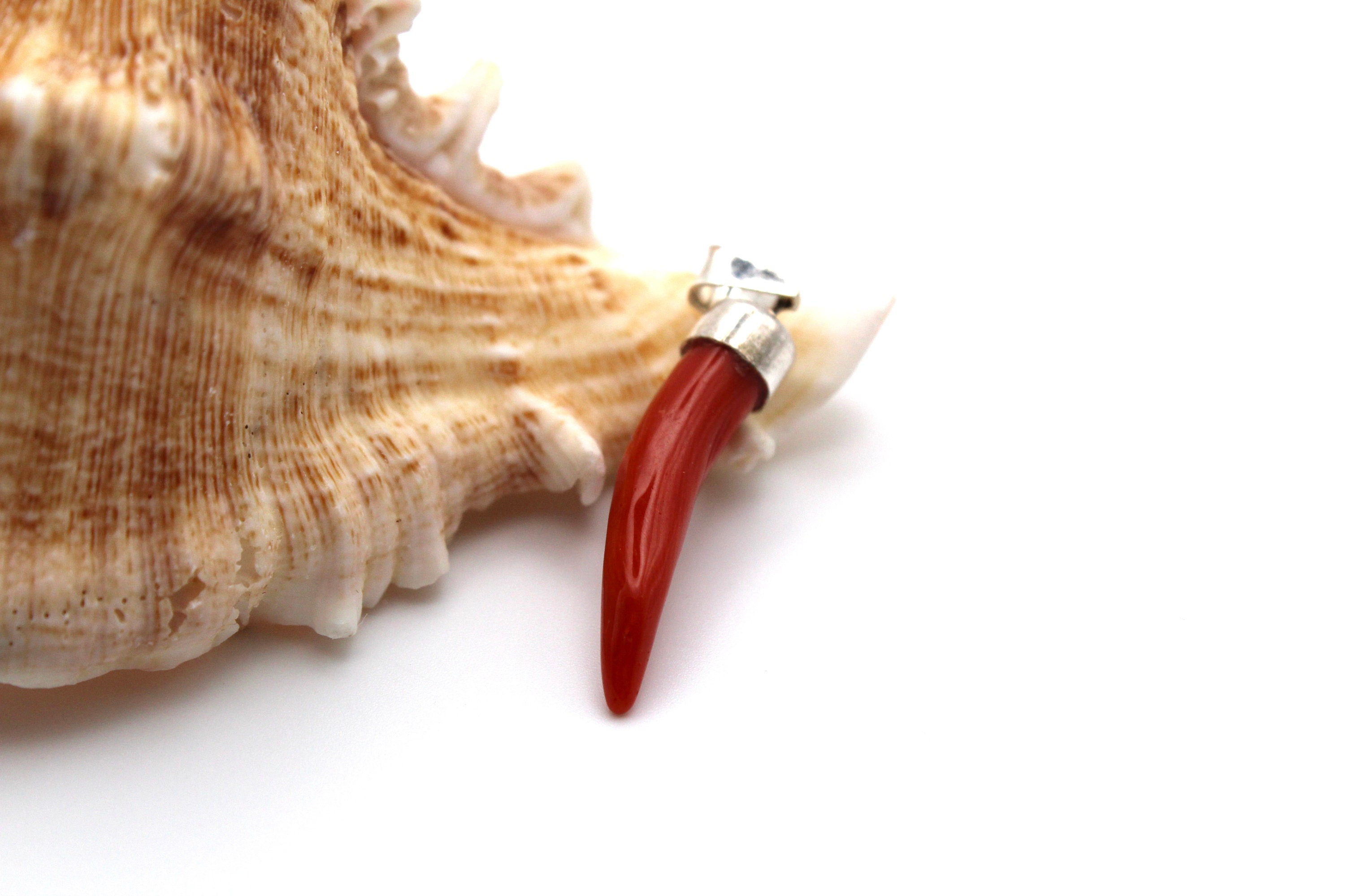 Italian Red Coral Horn, Coral, Red Coral, Horn Coral AAA* Coral, Gift ...