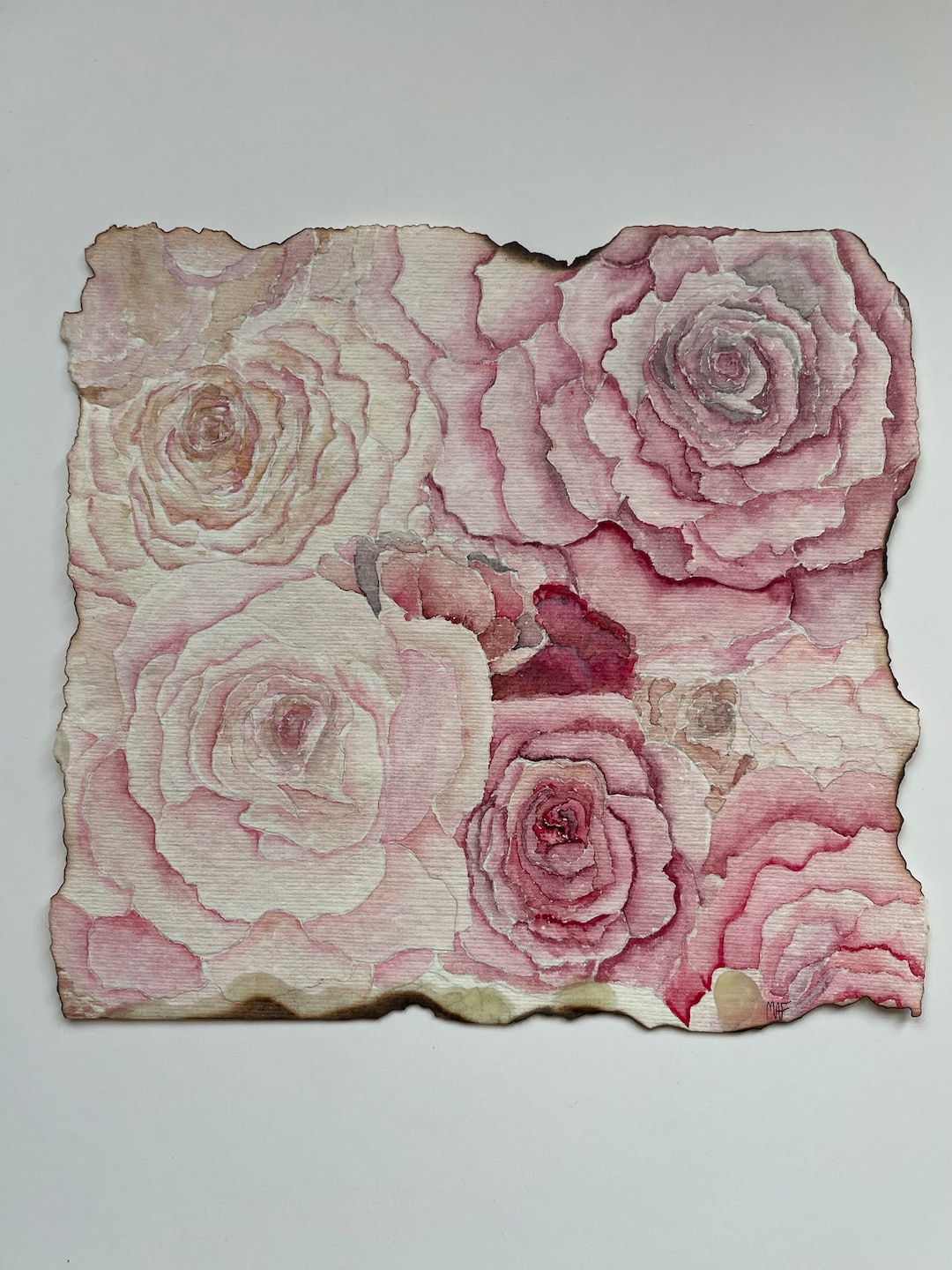 Roses 7 By7 Burt Edged Roses Watercolor Painting Unique Statement Piece ...