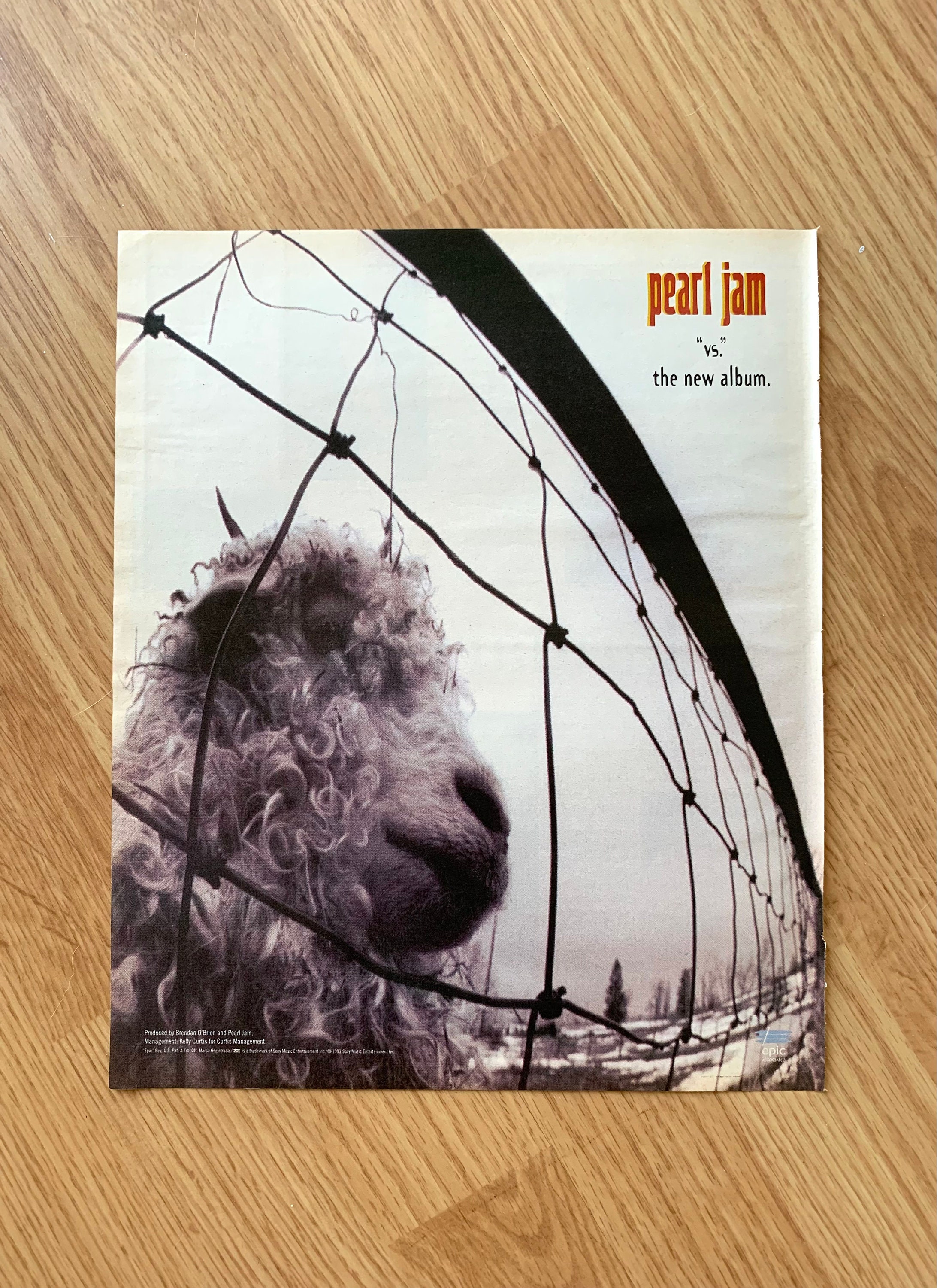 Pearl Jam Vs Album Artwork