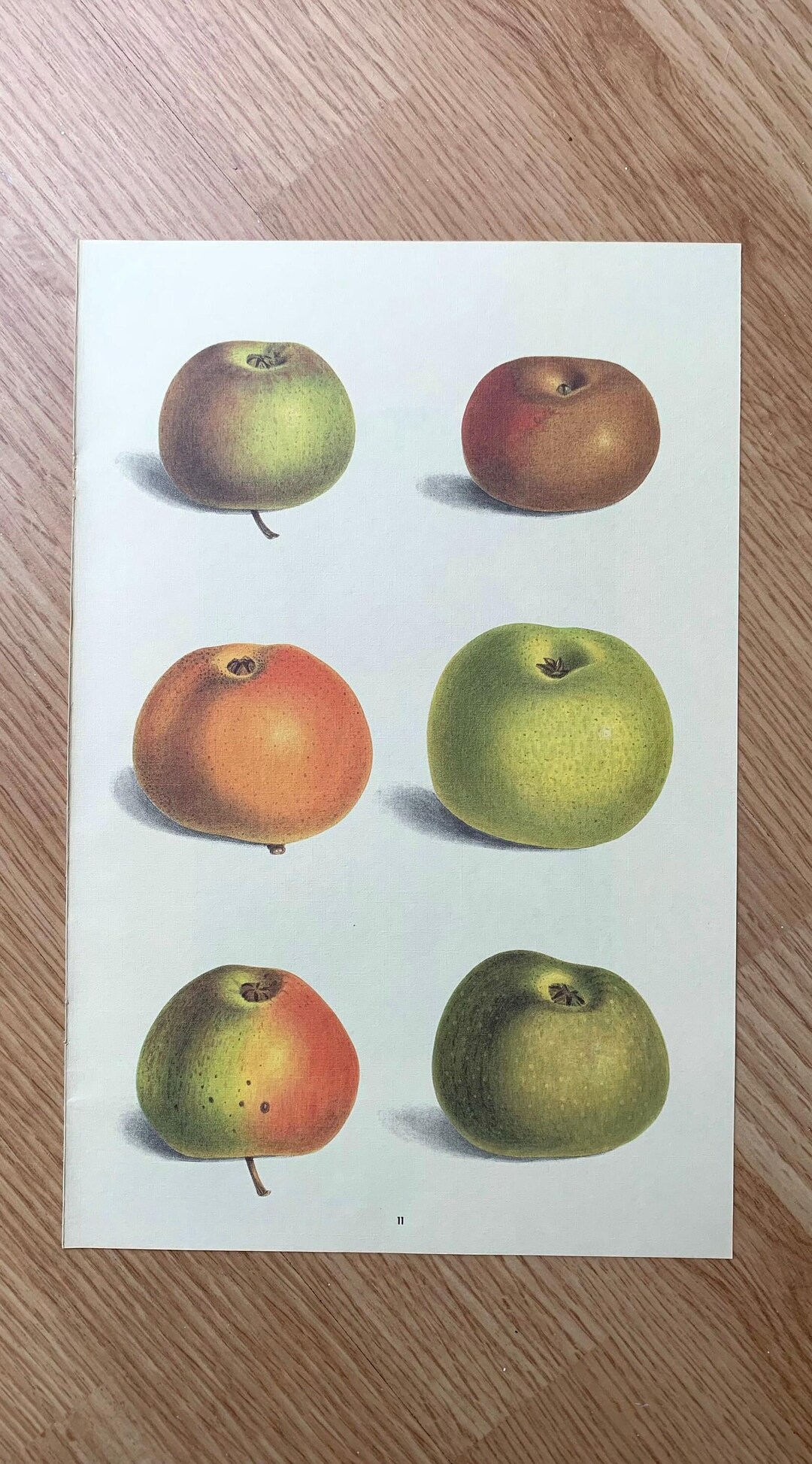 Vintage Apple Print, 8x12, Fruit Print Kitchen Decor - Etsy