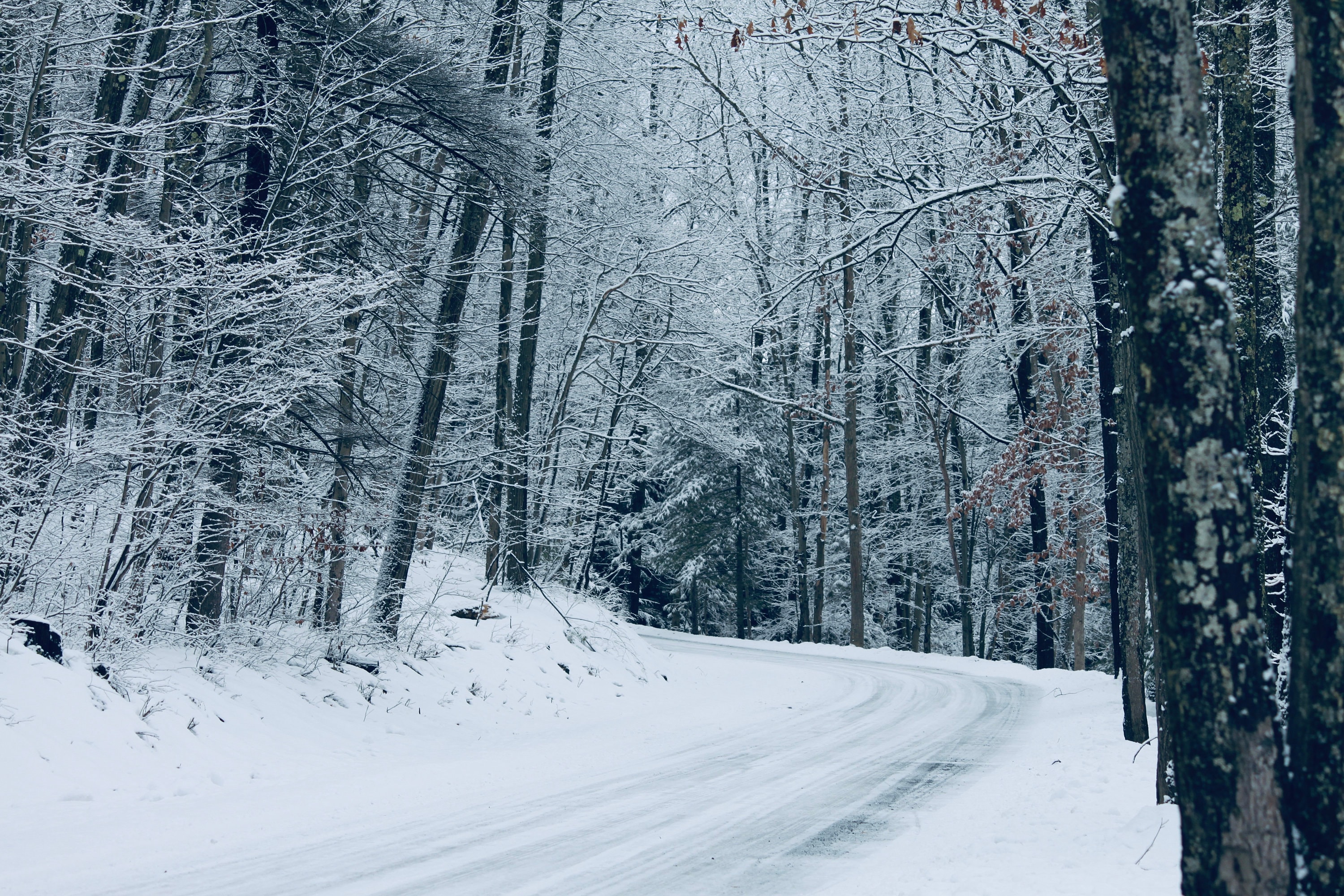 Winter Scene Prints - Etsy